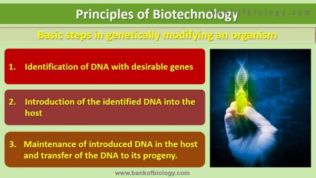 Biotechnology: Principles and Processes [Courtesy - BANK OF BIOLOGY ...