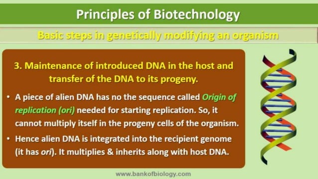 Biotechnology: Principles and Processes [Courtesy - BANK OF BIOLOGY ...
