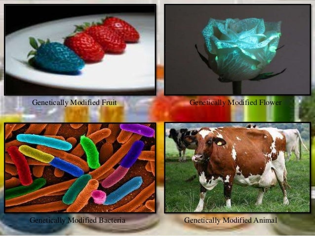 Biotechnology products