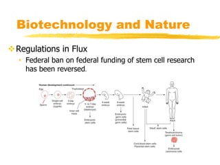 biotechnology regulations.ppt