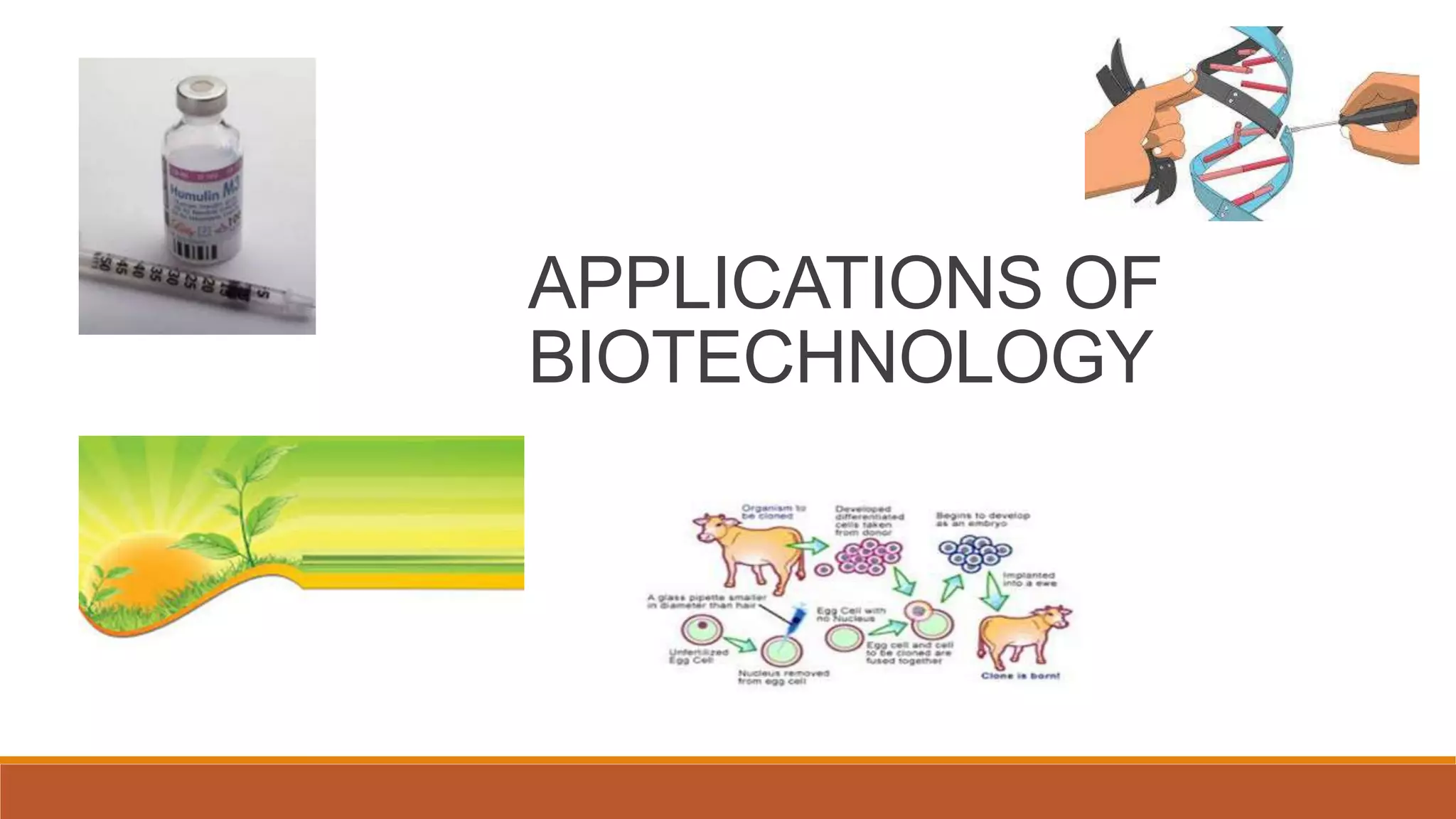 Biotechnology scope,applications.pptx