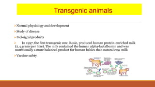 Biotechnology scope,applications.pptx