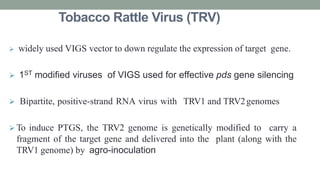 Gene Silencing (RNA interference ) | PPTX