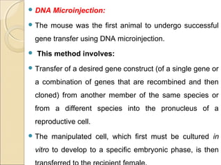 Biotechnology and its application | PPT