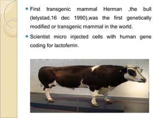 Biotechnology and its application | PPT