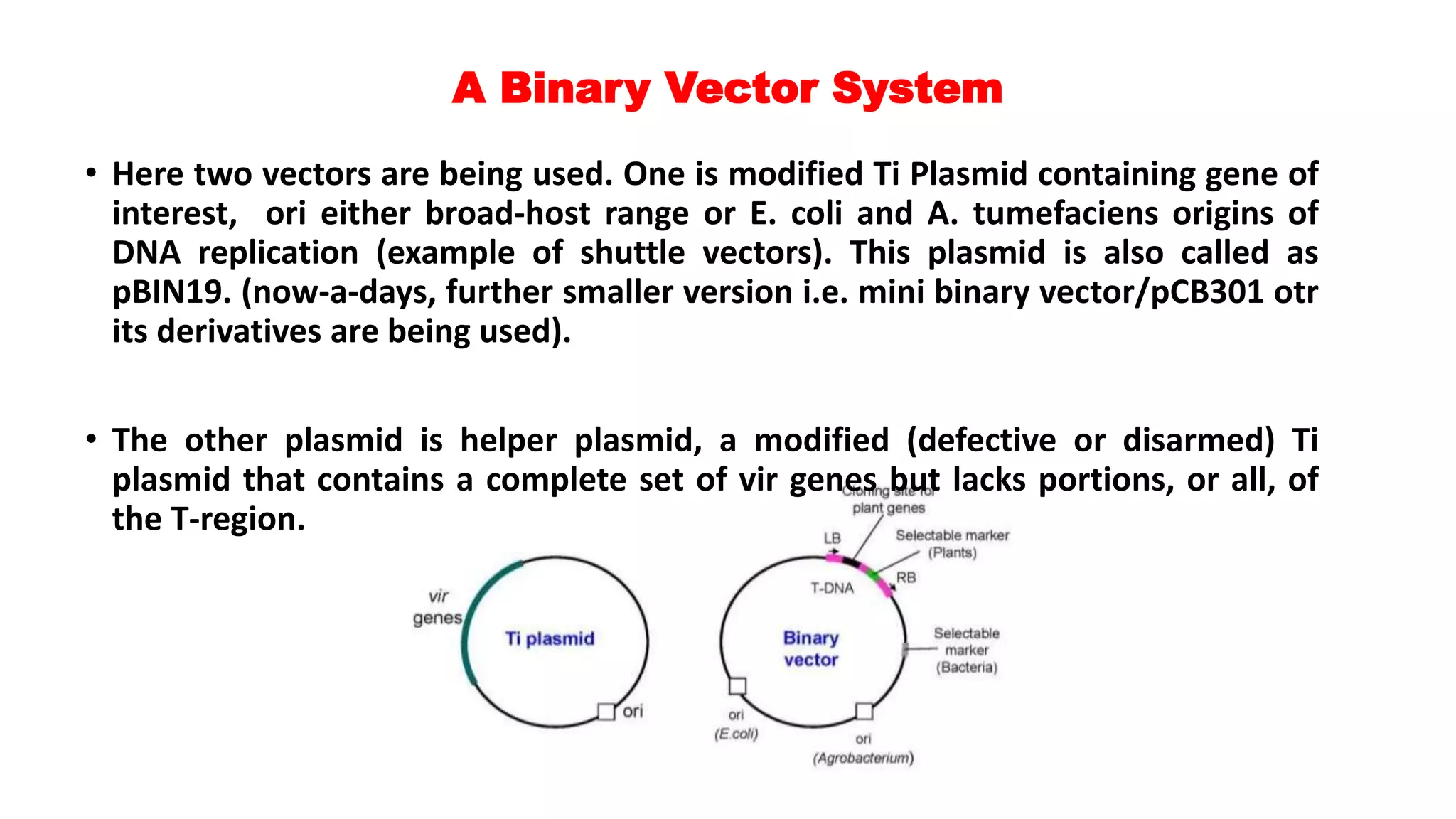 Biotechnology_transgenic plants _II.pptx