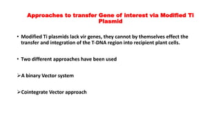 Biotechnology_transgenic plants _II.pptx