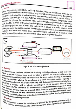 Biotechnology unit 4.pdf