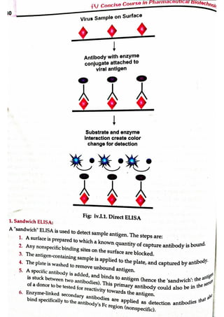 Biotechnology unit 4.pdf