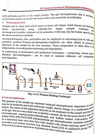 Biotechnology unit 4.pdf