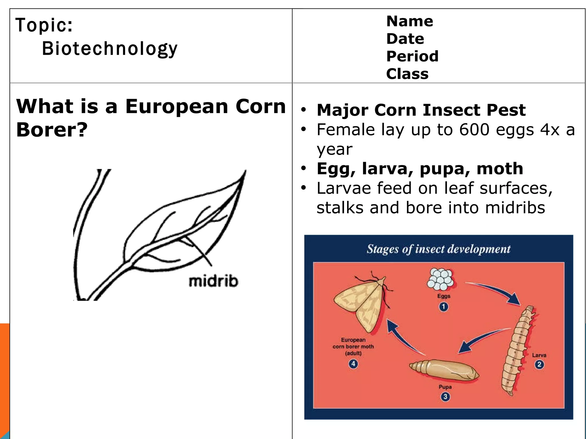 Biotechnology Virtual Lab | PPT