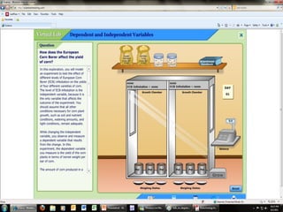 Biotechnology Virtual Lab | PPT