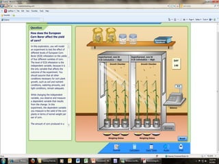 Biotechnology Virtual Lab | PPT
