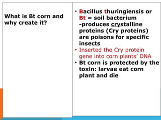 Biotechnology Virtual Lab | PPT
