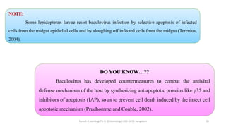 Pathogen-Driven Proteomic Changes in Haemolymph of NPV-Infected ...