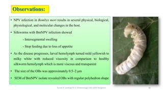 Pathogen-Driven Proteomic Changes in Haemolymph of NPV-Infected ...
