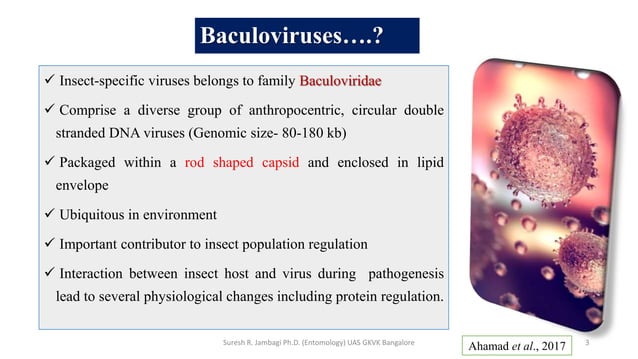 Pathogen-Driven Proteomic Changes in Haemolymph of NPV-Infected ...
