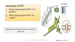 Pathogen-Driven Proteomic Changes in Haemolymph of NPV-Infected ...