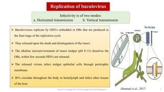 Pathogen-Driven Proteomic Changes in Haemolymph of NPV-Infected ...