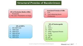 Pathogen-Driven Proteomic Changes in Haemolymph of NPV-Infected ...