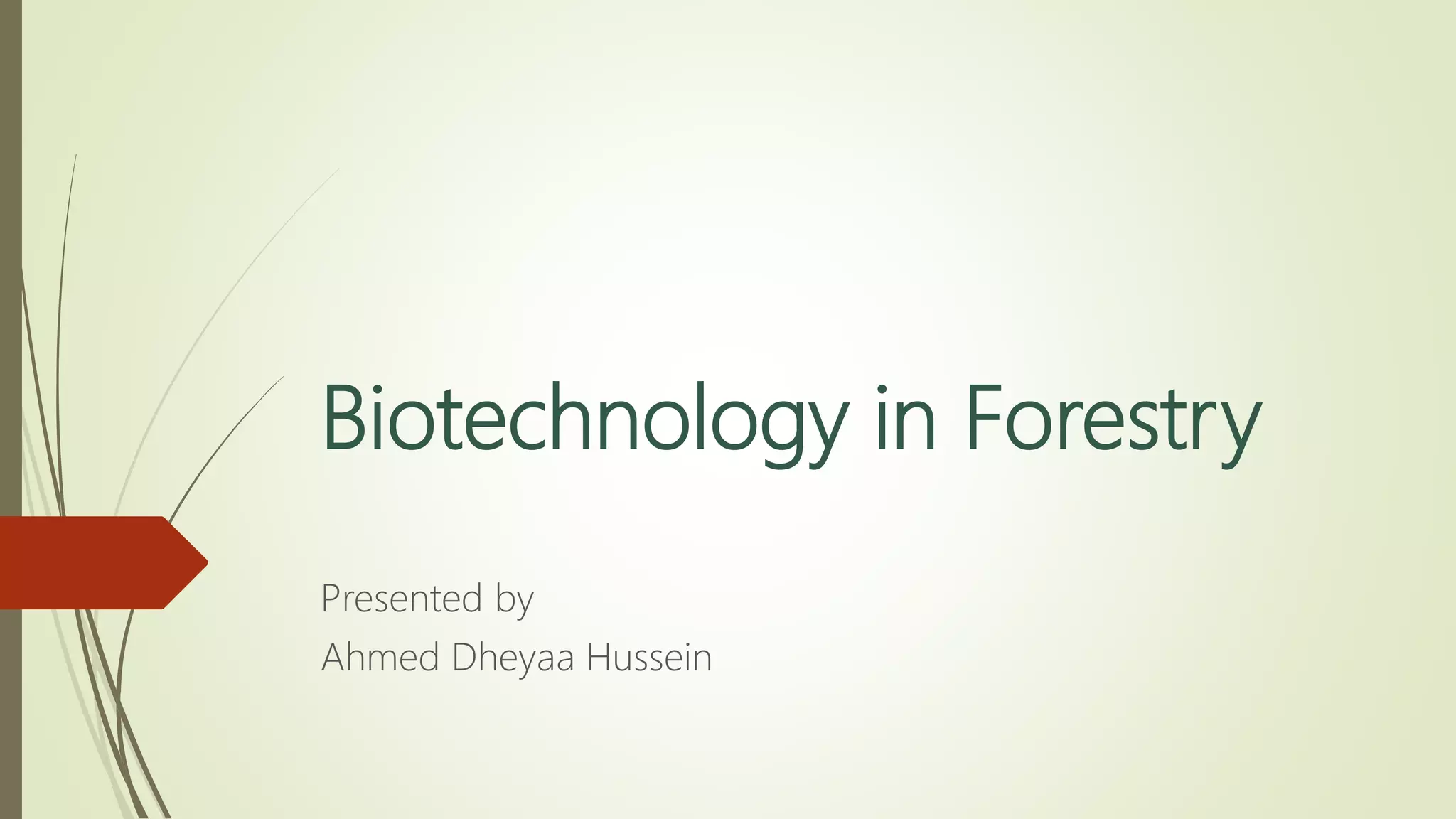 Biotechnology Boosts Forestry Productivity | PPT