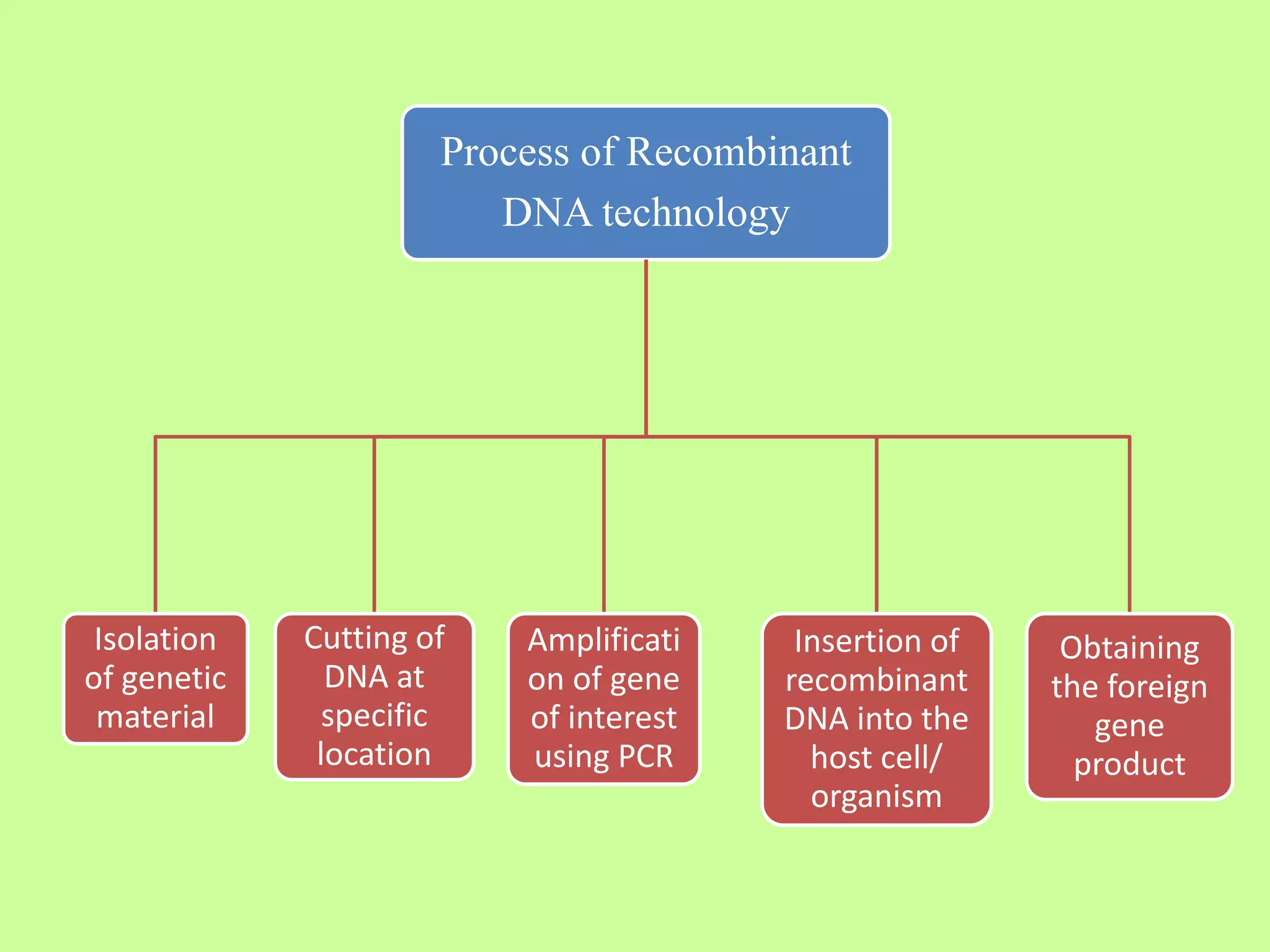 Biotechnoloy principles and processes | PPTX
