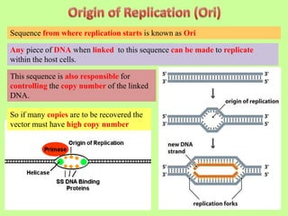 Biotechnoloy principles and processes | PPTX
