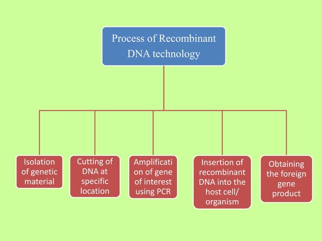 Biotechnoloy principles and processes | PPTX | Biotech and Biomedical ...