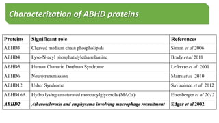 Molecular characterization of human ABHD2 as TAg lipase .pptx