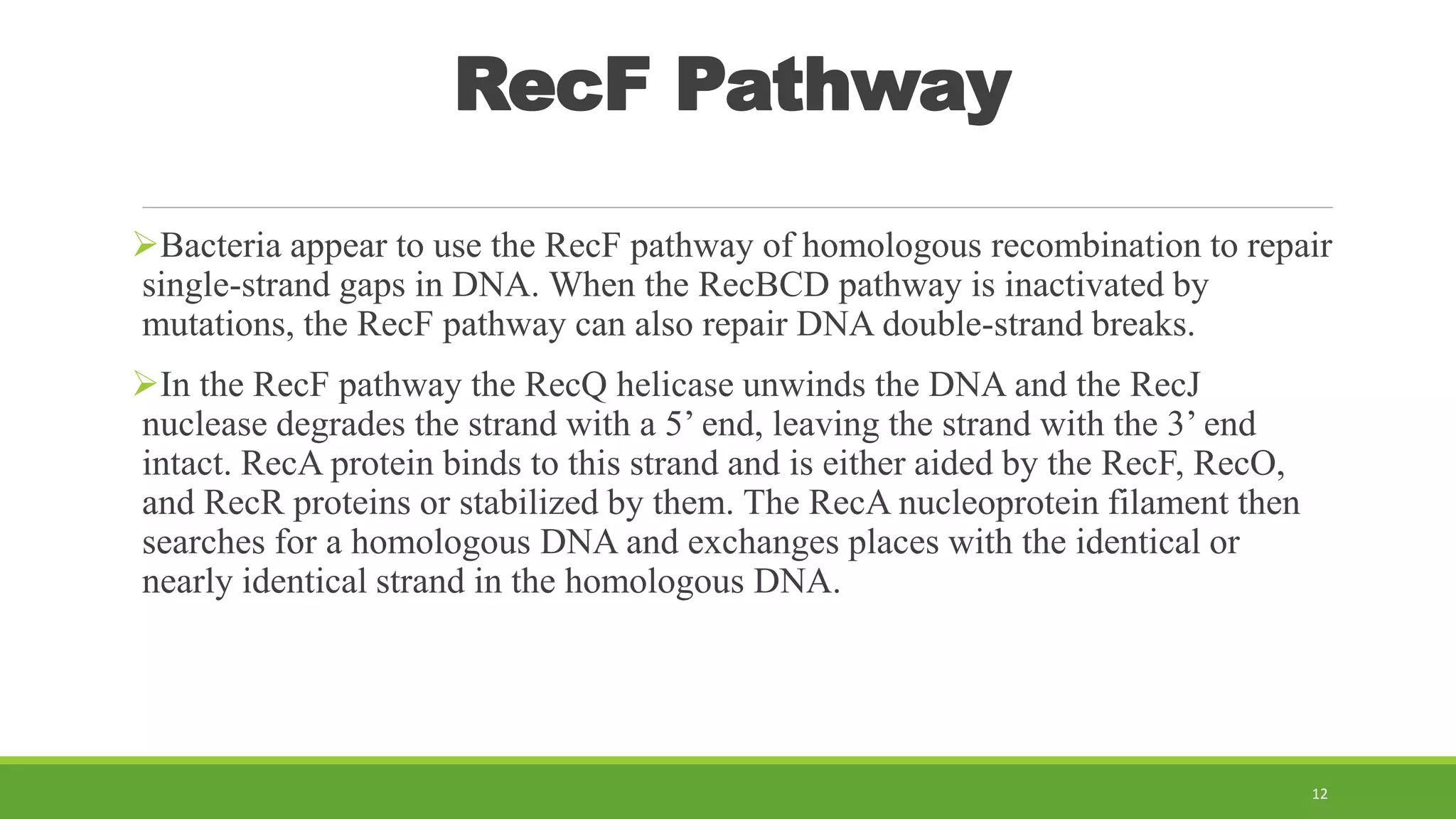 homologus recombination | PPTX