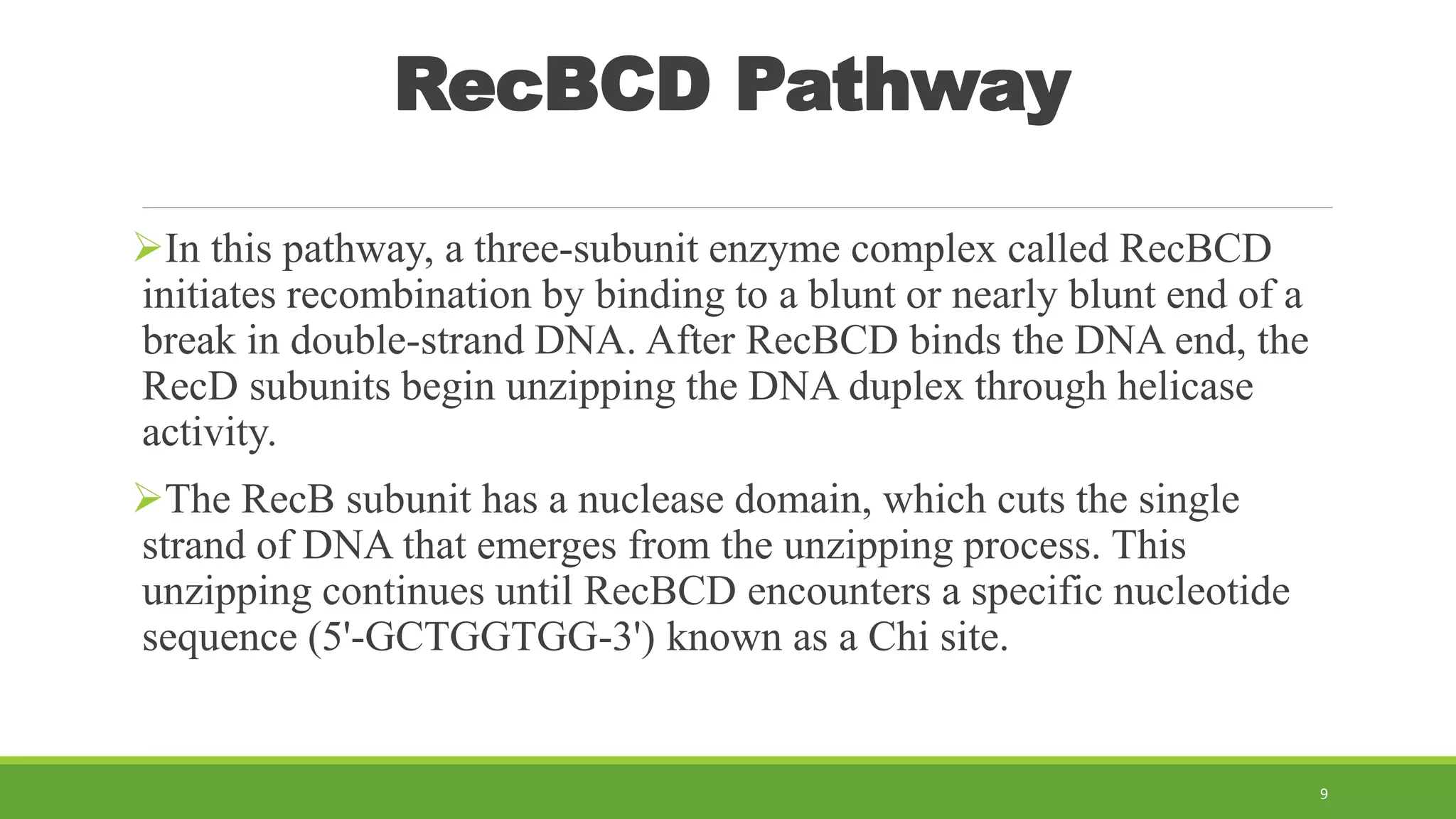 homologus recombination | PPTX