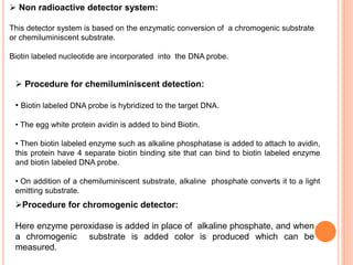 nucleic acid hybridization | PPTX