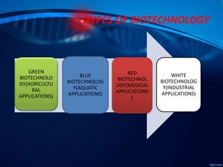 Biotech ppt | PPTX