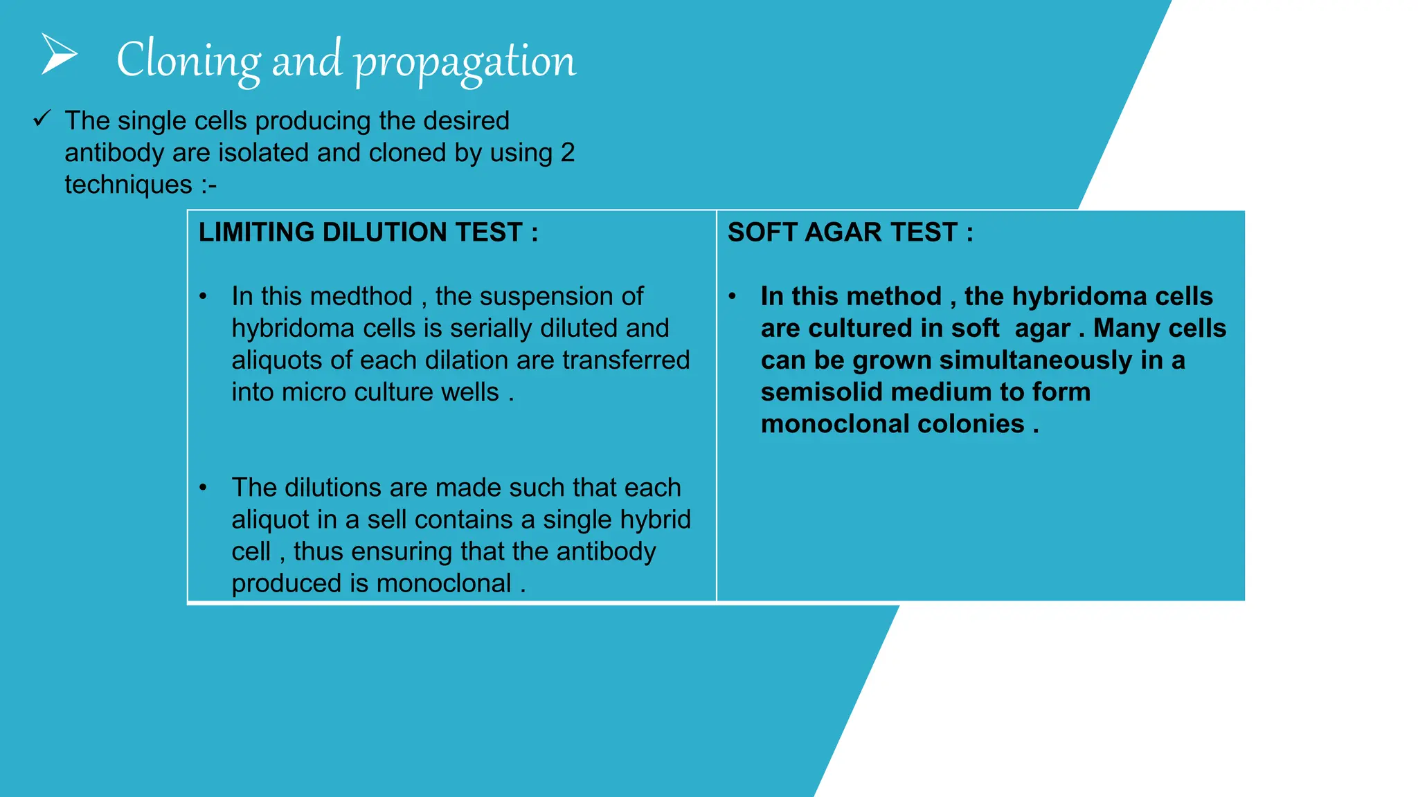 Hybridoma Technology ( Production , Purification , and Application ) | PPTX