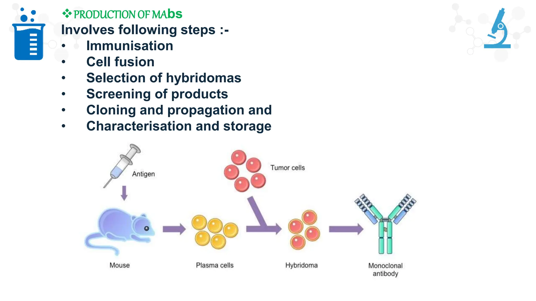 Hybridoma Technology ( Production , Purification , and Application ) | PPTX