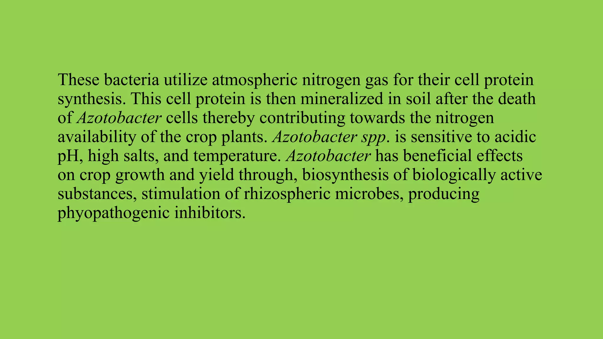 Azotobacter spp. | PPTX