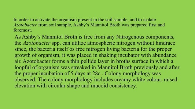 Azotobacter spp. | PPTX | Agriculture | Industries