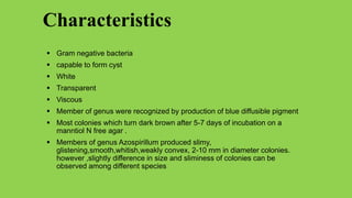 Azotobacter spp. | PPTX | Agriculture | Industries