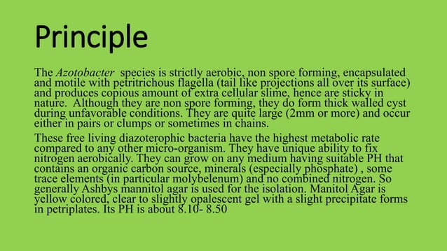 Azotobacter spp. | PPTX | Agriculture | Industries