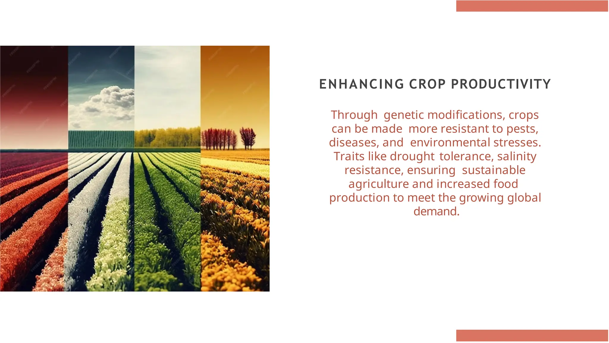 Agricultural Biotechnology presentation.pptx