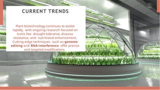 Agricultural Biotechnology presentation.pptx
