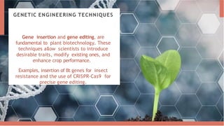 Agricultural Biotechnology presentation.pptx