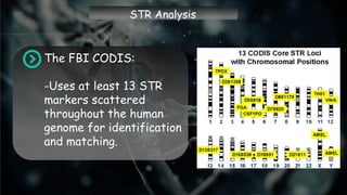 Biotech report | PPT