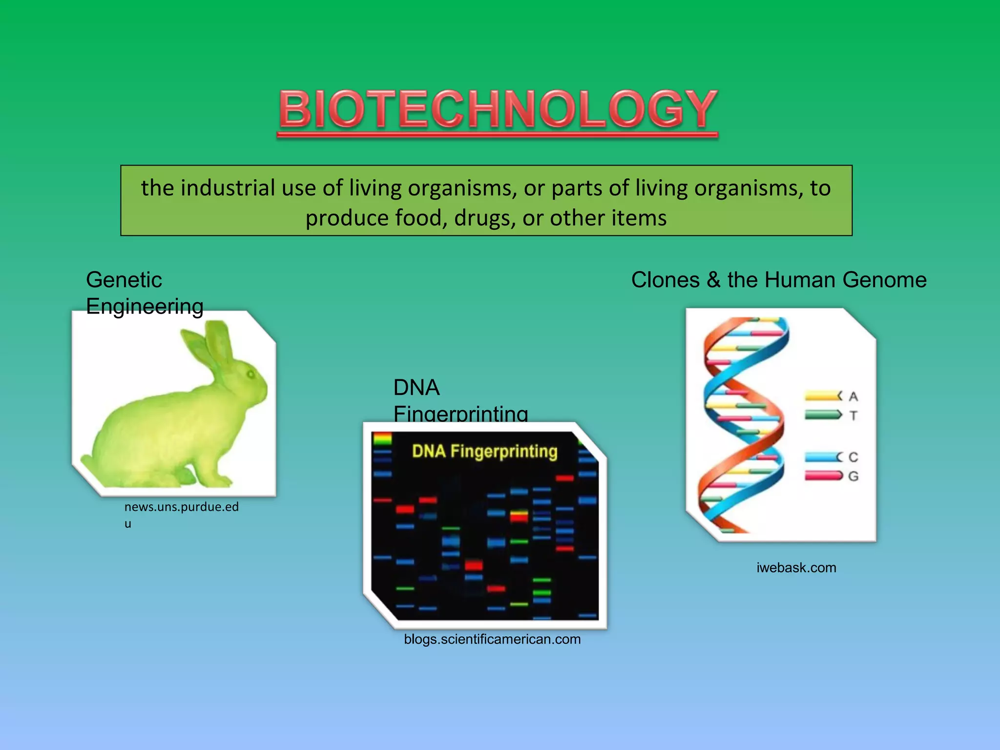 Introduction to Biotechnology | PPT