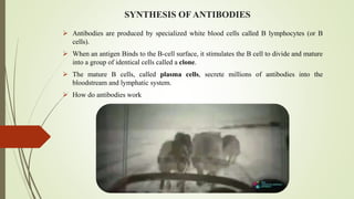 IMMUNOMODULATORS :- Mode and mechanism of their action | PPTX