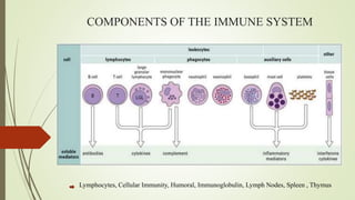 IMMUNOMODULATORS :- Mode and mechanism of their action | PPTX