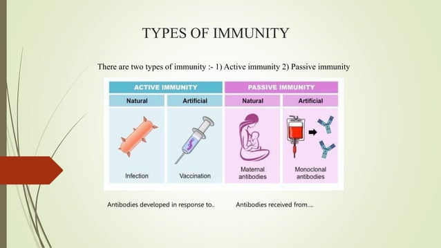 IMMUNOMODULATORS :- Mode and mechanism of their action | PPTX