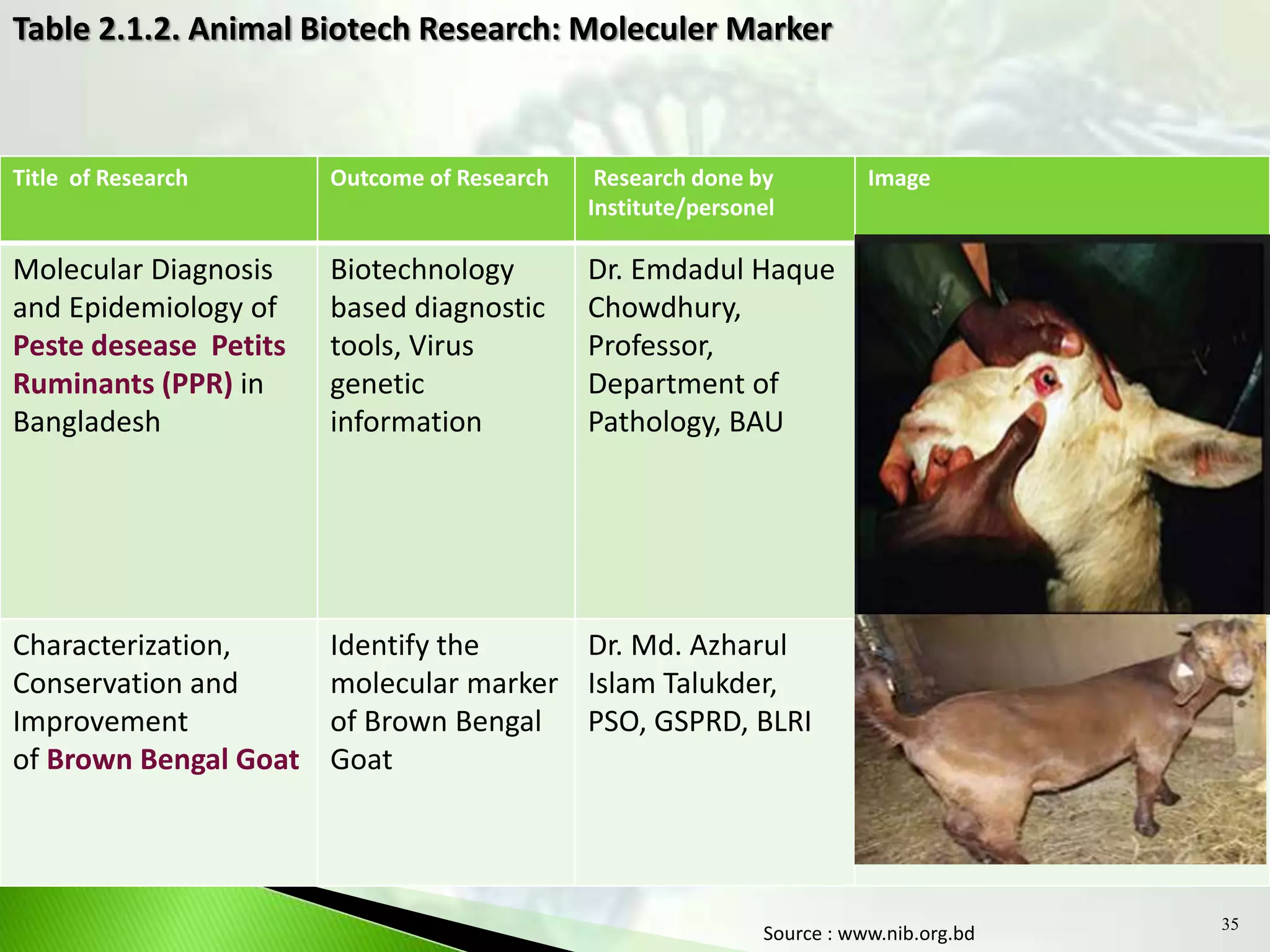 Biotech status in bd | PPTX
