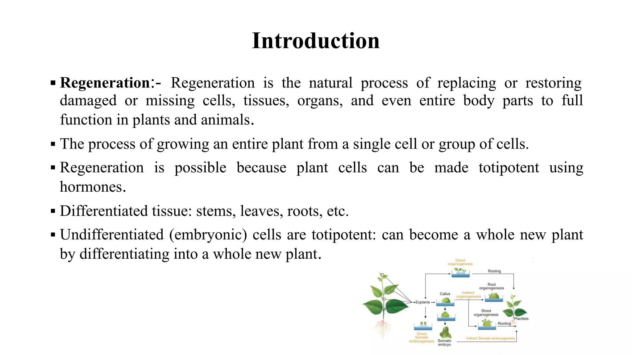 Regeneration of plants and application of plant tissue culture | PDF