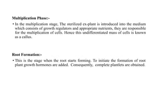 Regeneration of plants and application of plant tissue culture | PDF